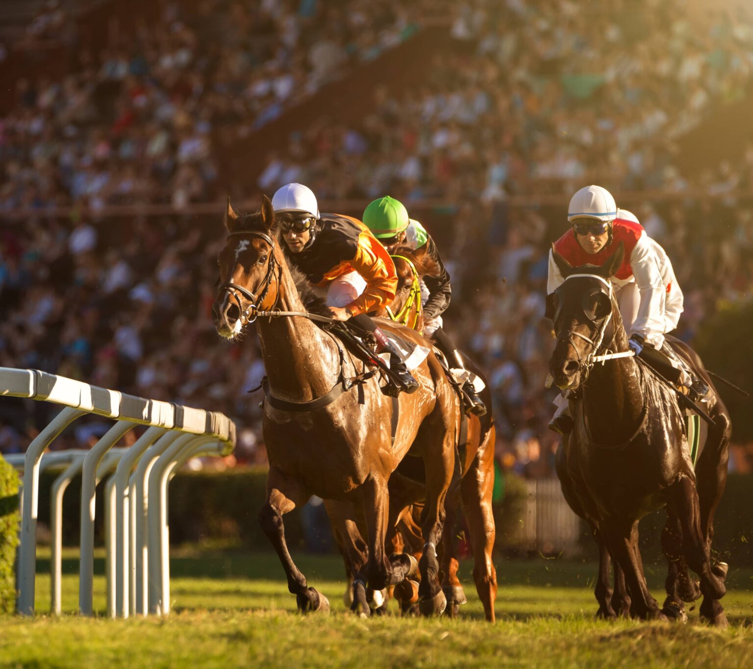 Welcome to the National Thoroughbred League - National Thoroughbred League