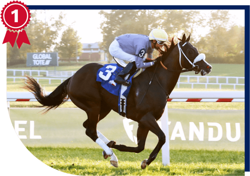 Welcome to the National Thoroughbred League - National Thoroughbred League