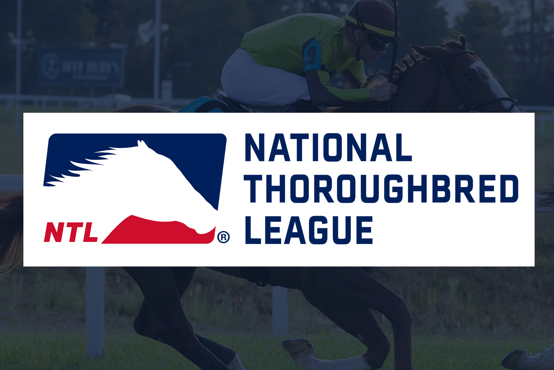 Welcome to the National Thoroughbred League | Fast Fun at the Track