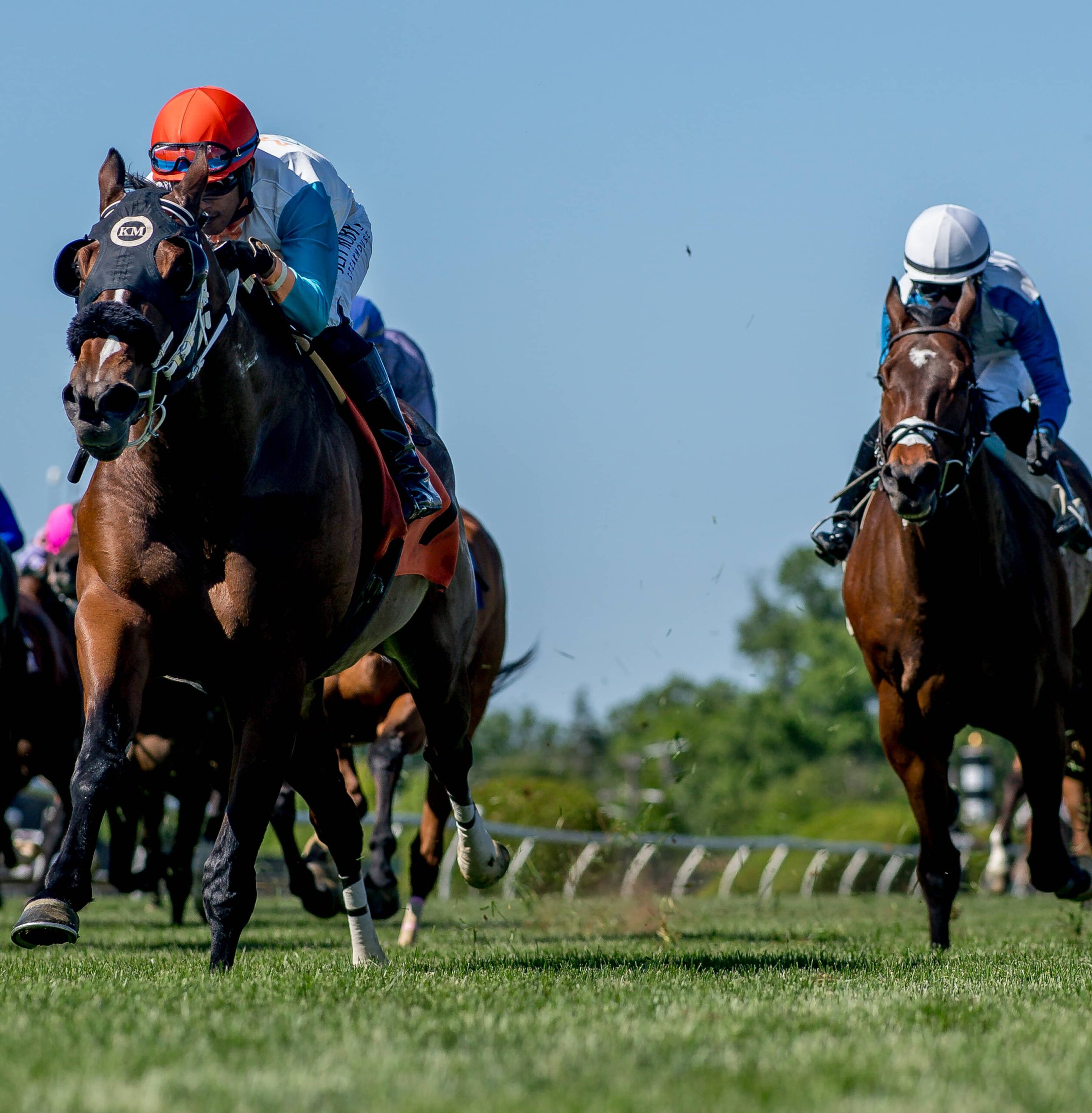 2026 Racing Schedule - National Thoroughbred League